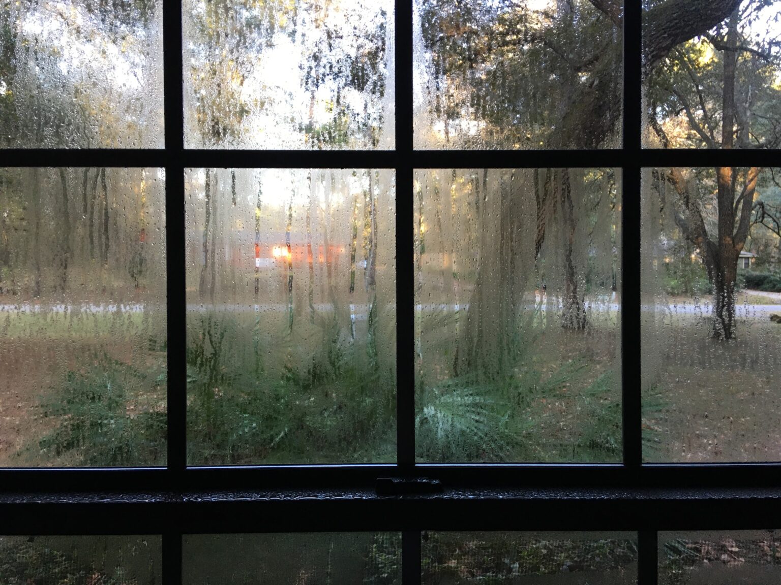 Why Are My Windows Fogging Up? Causes and Solutions - Signature Window ...